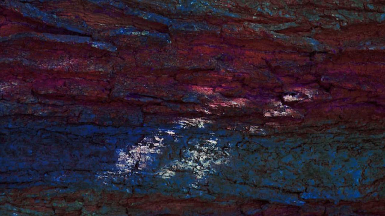 Photographer Erik Madigan Heck Brings The Flavours Of The Macallan ...