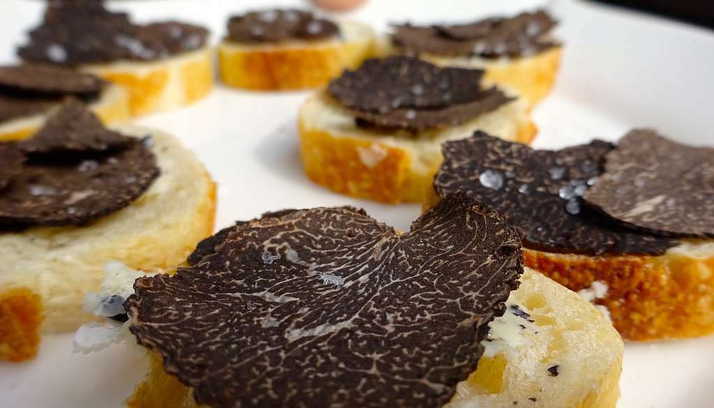Truffle hunting in Provence | Robb Report Malaysia