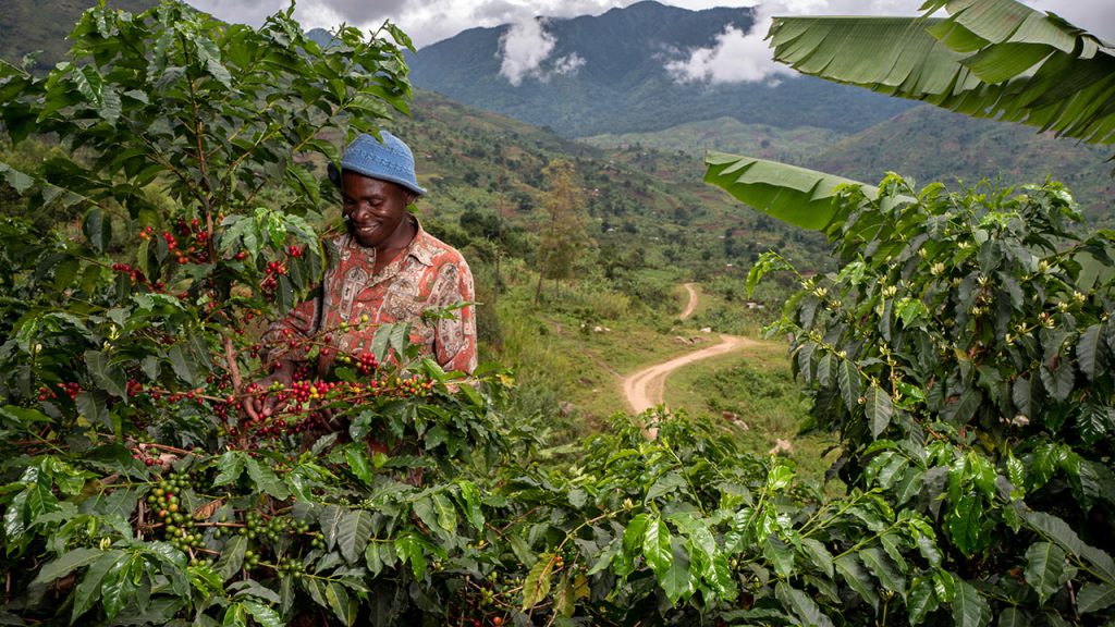 Nespresso's New Reviving Origins Range Debuts | Robb Report Malaysia