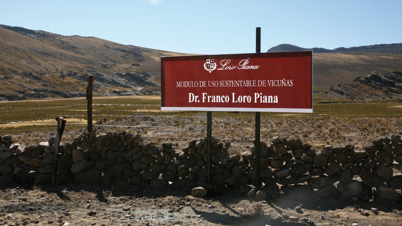 Vicuna, The Ultimate Menswear Fabric Explained | Robb Report Malaysia