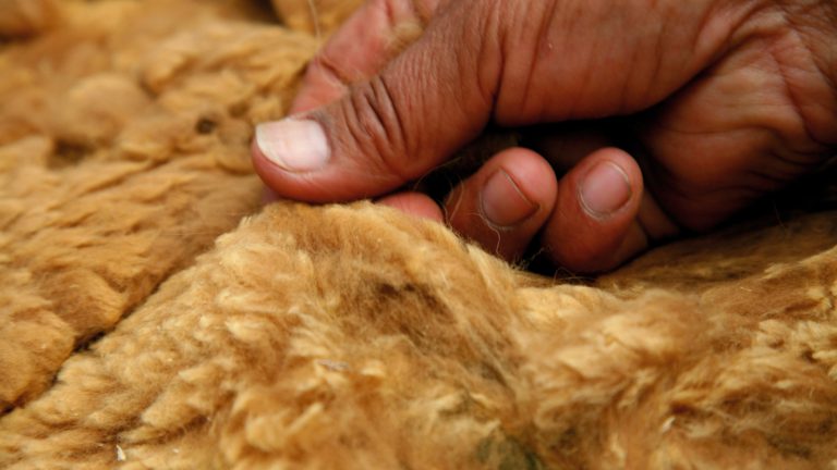 Vicuna, The Ultimate Menswear Fabric Explained | Robb Report Malaysia