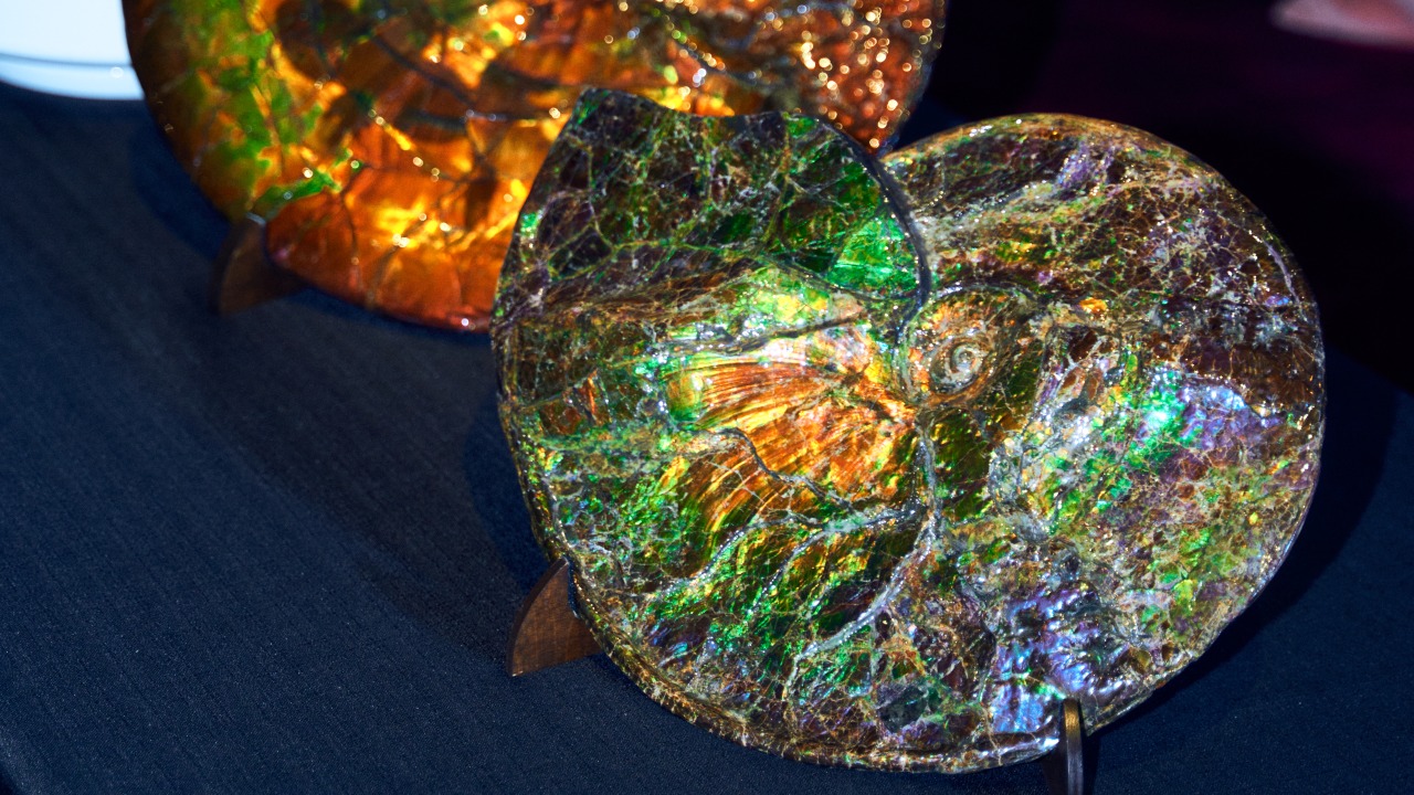 VIP Guests Of Kaimirra Tutan And BMW Malaysia Enjoyed High Gastronomy ...