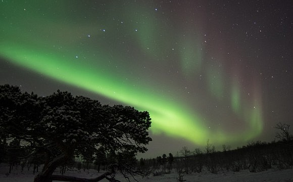 Marriott International's Peggy Fang Roe Says It's Crucial Knowing What ...